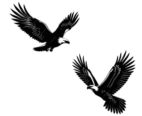 Premium Vector Eagle Flying Silhouette Vector