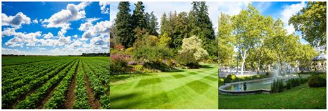 Riser Rotating Sprinkler China Plastic Valves Pipes And Fittings Manufacturer Nbqxhy