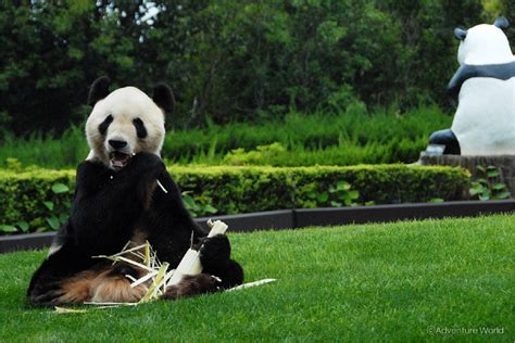 和歌山自由行推薦景點「高野山」：世界遺產金剛峰寺、必吃胡麻豆腐美食、一晚8萬日圓高級宿坊！ 樂吃購！日本