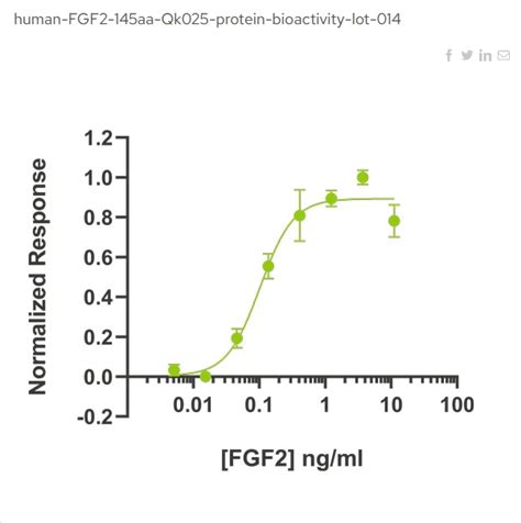 Recombinant Zebrafish Fgf 2 Bfgf Protein Xl Biotec