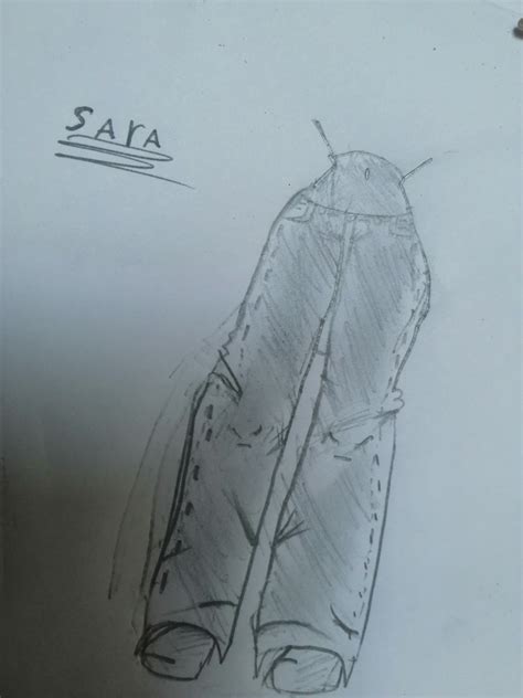 رسم جسم بنات🍺 ️‍🔥 스케치 그리기 스케치 그림