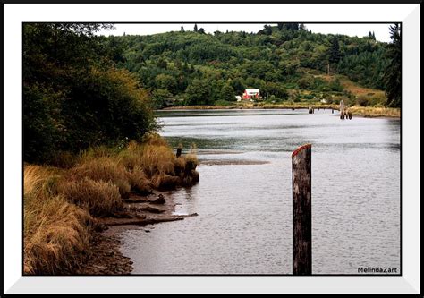 Willapa Bay Watershed By Mbz2662