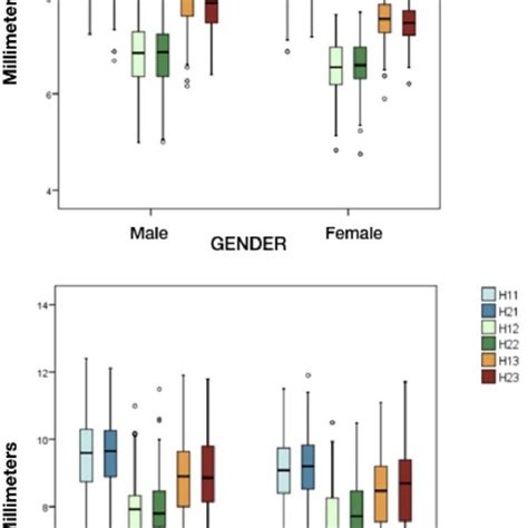 A Example Of The Measurement Of Height B Example Of The Download Scientific Diagram