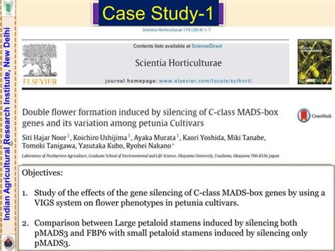1 Abcde Flower Model Pptx