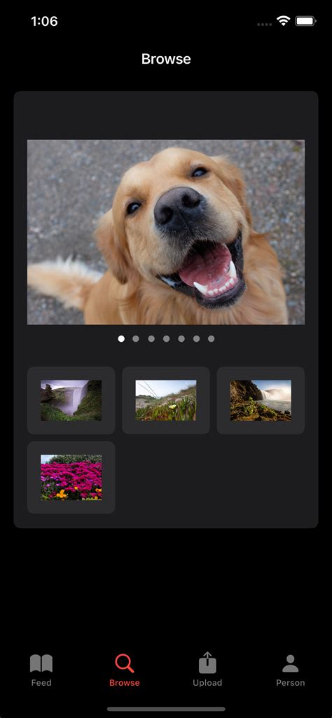 Social Media Platform Build With SwiftUI And Firebase With Google And
