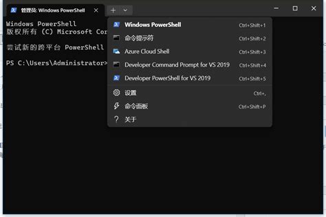 Windows Terminal绿色安装方法 Cn