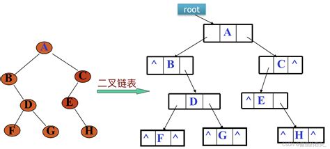 数据结构与算法详解二叉树下实践篇通过链式结构深入理解并实现二叉树 腾讯云开发者社区 腾讯云