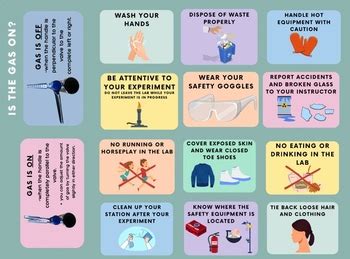 Lab Safety Rules Posters By Sandra D Silva TPT