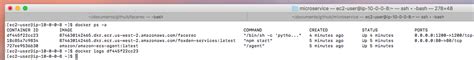 Amazon Web Services Aws Ecs Weird Docker Behavior Stack Overflow