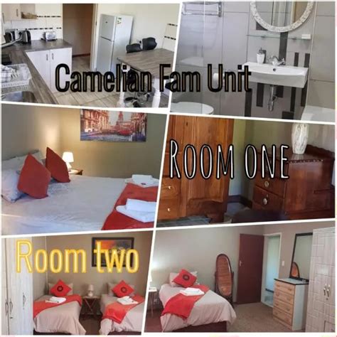 Amani Palms Guest House In Klerksdorp South Africa 20 Reviews Prices Planet Of Hotels