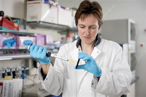 Genetic Microarray Preparation Stock Image C019 0272 Science Photo Library