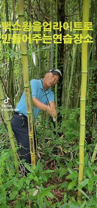 백스윙 똑바로 만들어주는 연습방법 레슨 01054786658 Shorts 백스윙 스윙궤도 스윙교정 Youtube