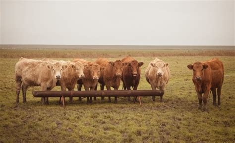 Entropy Information Theory Darren Sapalo