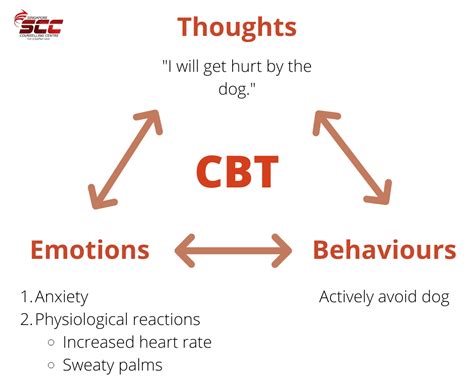 Cognitive Behavioral Therapy CBT Types Techniques Uses 47 OFF