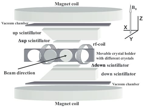 A Schematic Overview Of The Rf And Detection Region Of The Newly Download Scientific Diagram