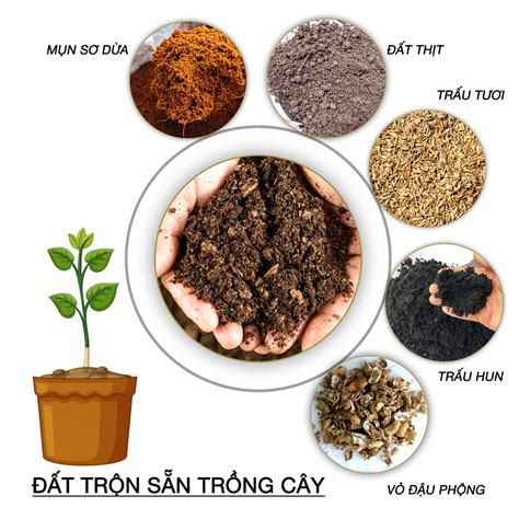 1kg đất Trộn Sẵn Trồng Cây Mụn Sơ Dừa Trấu Tươi Trấu Hun Vỏ đậu