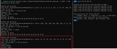 Building A Simple Network Protocol Analyzer In Rust • 0x52657a5a