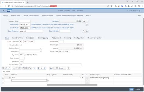 Activities Sap Webgui Interface Examples