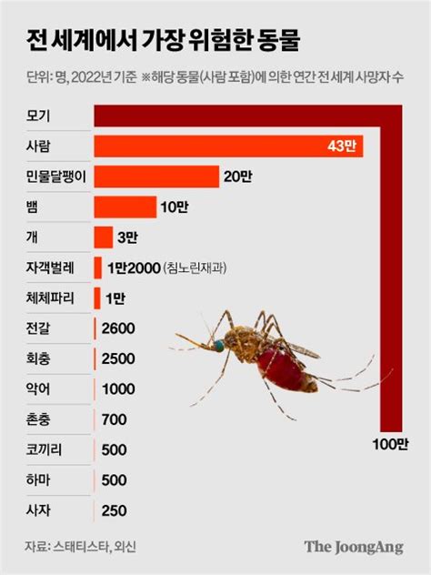 살충제 뿌려도 안죽는다…더워진 지구가 만든 좀비 모기 인스티즈 Instiz 이슈 카테고리
