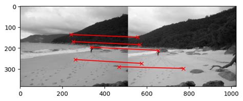 Exploring Image Processing With Python A Deep Dive Into Homography Interpolation And Image