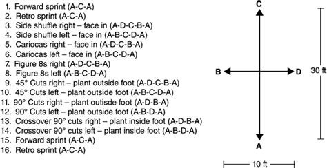 The Lower Extremity Functional Test Download Scientific Diagram