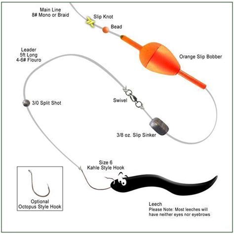 Trout Fishing Bobber Setup At Marva Owens Blog