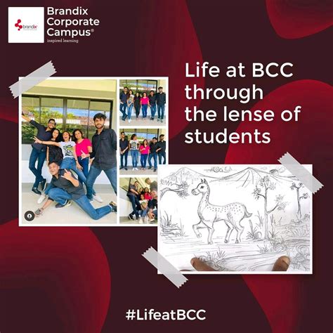 Priyanga Dassanayake On Linkedin 😍