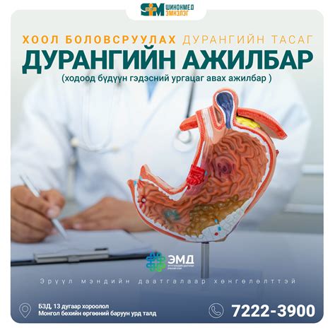 Шинонмед Дурангийн ажилбар Хоол боловсруулах дурангийн тасаг ЭМД ын хөнгөлөлттэй 13 н А