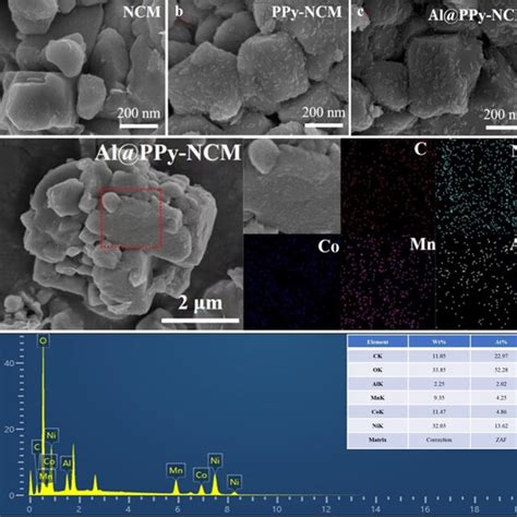 The Sem Patterns Of A Ncm B Ppy Ncm C Alppy Ncm D Eds Download Scientific Diagram