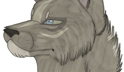 Blink Animation Final Product By MorningAfterWolf On DeviantArt