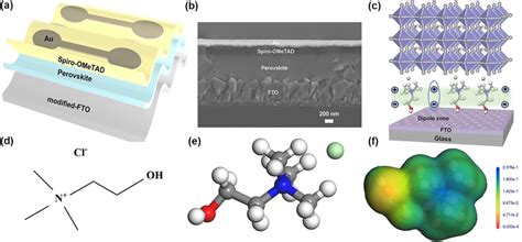 A The Representative Cell Structure And B Cross‐sectional Sem Download Scientific Diagram