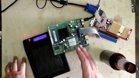 Differential Roles Of Ctp Synthetases Ctps1 And Ctps2 In 51 Off