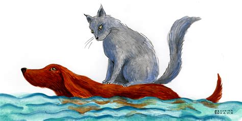 Should I Get A Cat Or Dog First