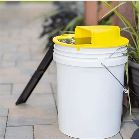 Smartcatch Hands Free Mouse Trap With Safe Design Lasmir