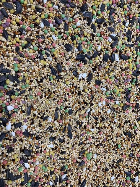 鹦鹉混合鸟粮牡丹玄凤等中小型鹦鹉鸟食滋养丸谷子饲料包邮5斤虎窝淘