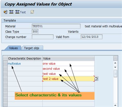 Sap Mass Update Characteristic Values