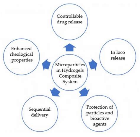 Engineering Drug Delivery Systems Encyclopedia Mdpi