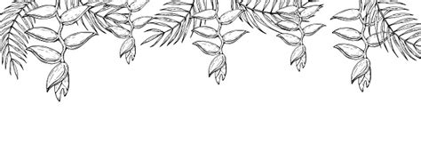 열 대 프레임 서식 파일 벡터 야자수 잎의 배너 고립 된 배경에 헬리코니아 꽃 그림 아름 다운 식물 손으로 그린 선형 이국적인 요소 디자이너 스파 장식 엽서 결혼식 인사말