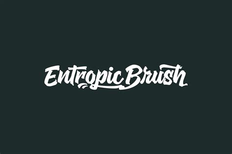 Entropic Brush Fonts Shmonts