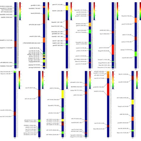 Distribution Of Quantitative Trait Loci Qtls For Traits On All