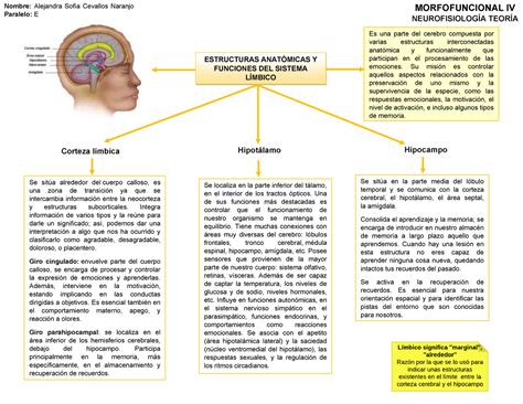 Sistema Límbico Mapa Conceptual Nombre Alejandra Cevallos Naranjo