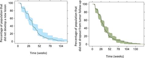 Kaplanmeier Visual Predictive Checks For The Final New Lesion