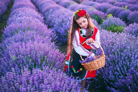 Bulgarian Girl In Ethnic Traditional Folklore Dress Picking Lavender Herbs In Basket During