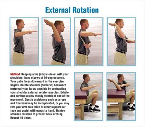 Subscapularis Self Care Integrative Works Workout Programs