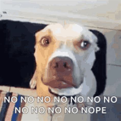O No Meme Capone Oh No Lyrics