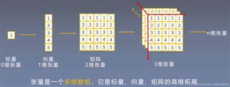 Tensor的几种形状和创建tensor形状 Csdn博客