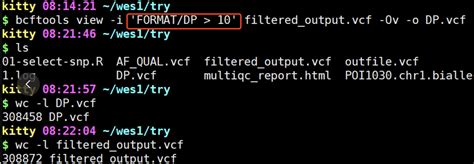 如何使用bcftools 生信菜鸟团
