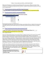 Understanding Meiosis Chromosomal Abnormalities And Genetic Course Hero