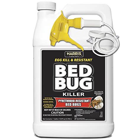 What Do Bed Bugs Hate 4 Things That Repel Them