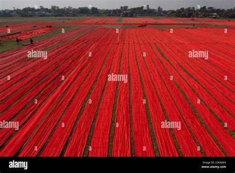 Freshly Dyed Clothes From Dyeing Factories Are Spread Out Across A Vast Open Field To Dry